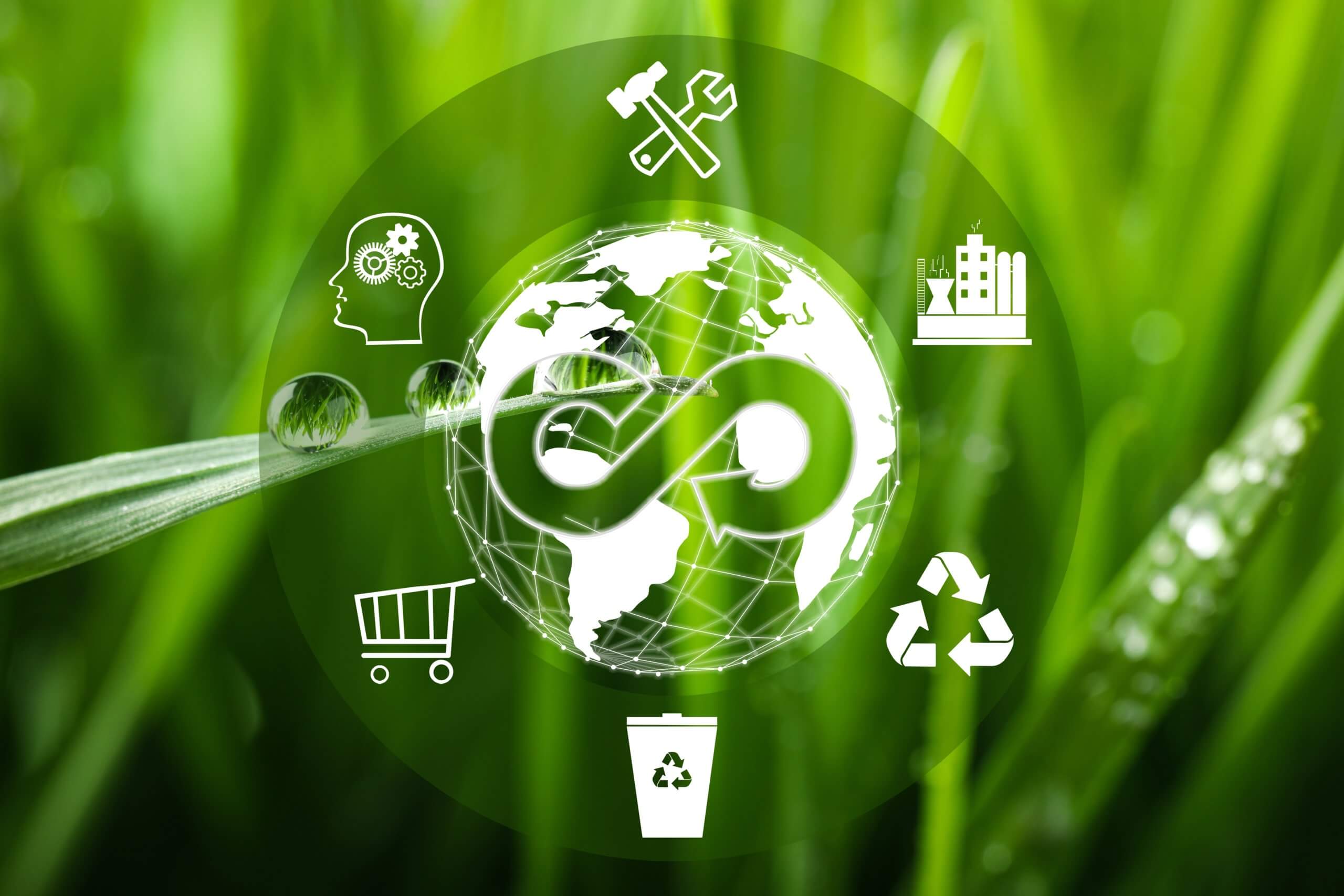 Tackling The Billion-Dollar Returns Waste Crisis – SLD Tackling The Billion-Dollar Returns Waste Crisis – SLD